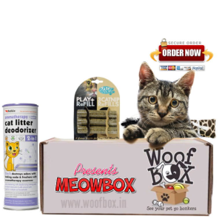 Dog Subscription Box | Dog Toys India | Online Shopping for Dogs | Woof Box